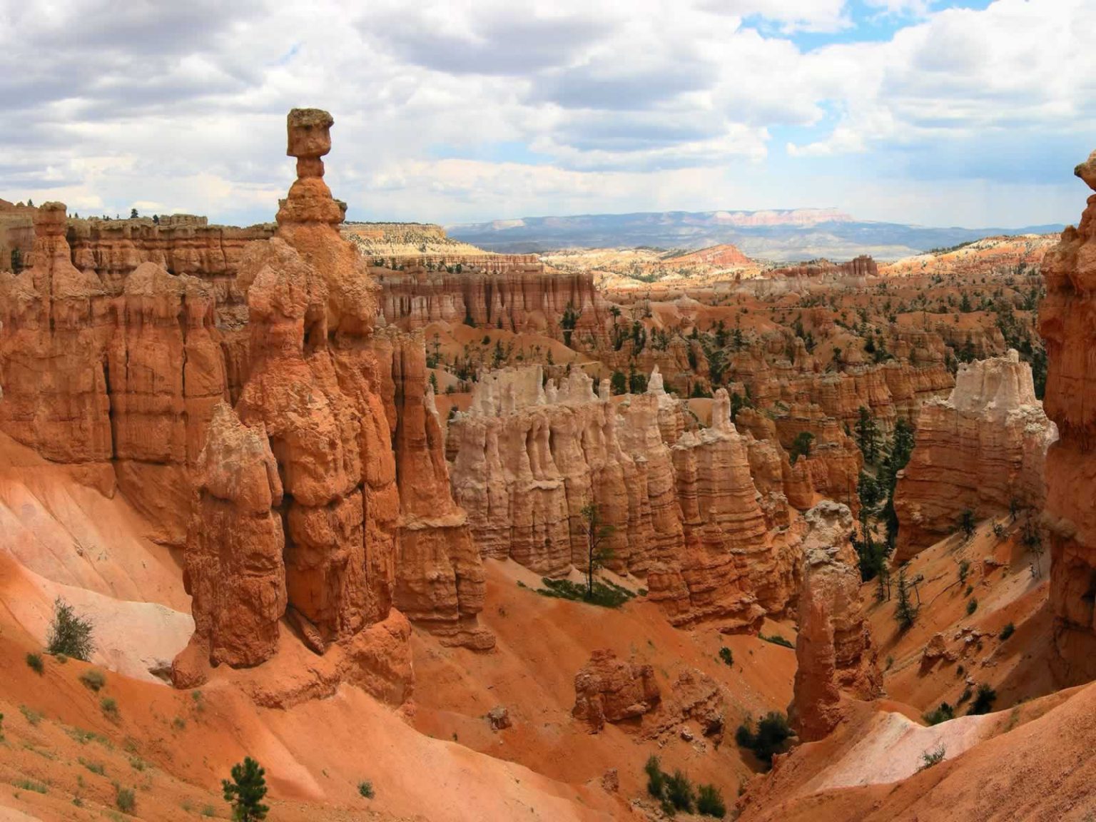 Agaou Industries – Multi Service Center