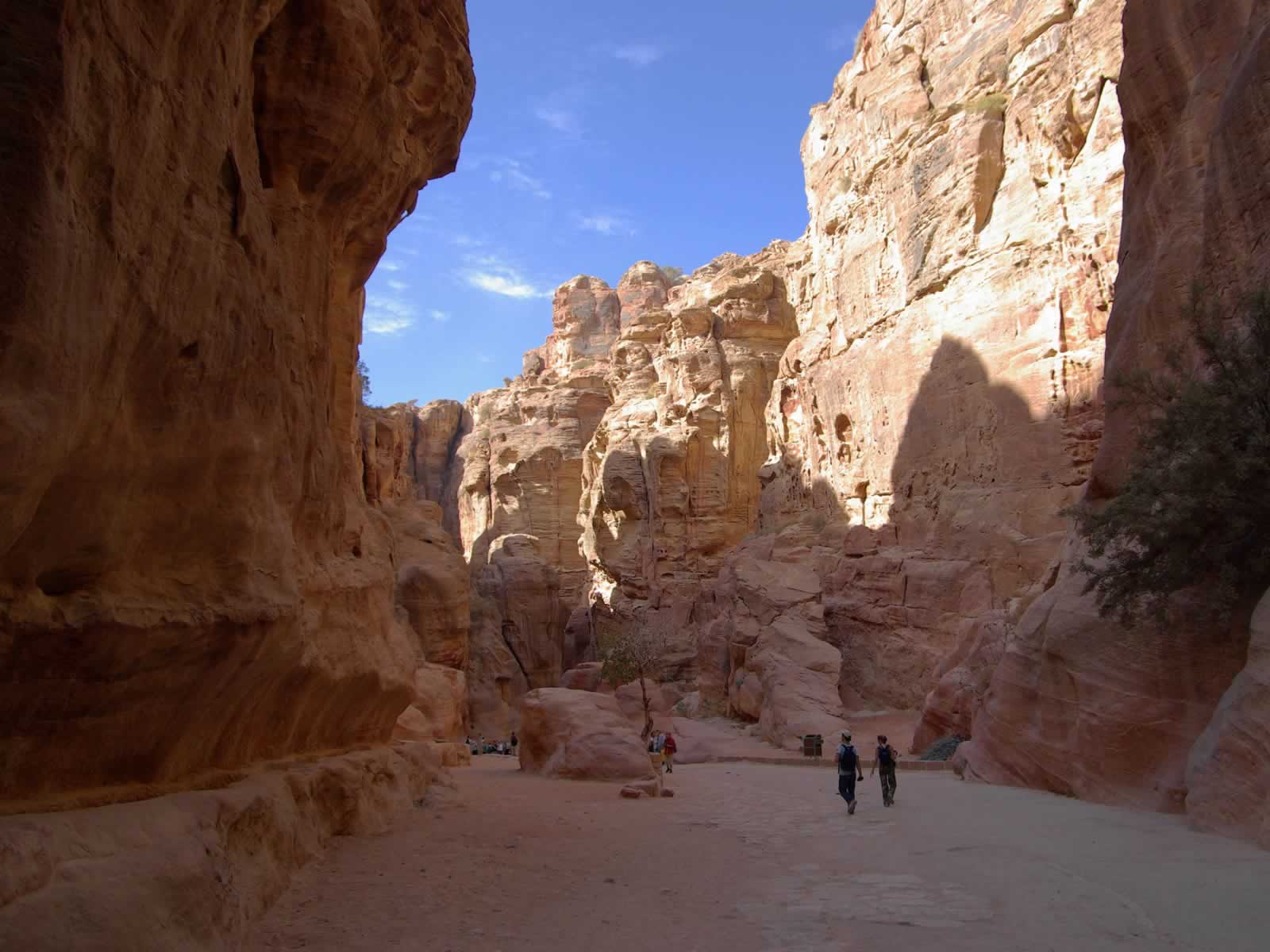 Agaou Industries – Multi Service